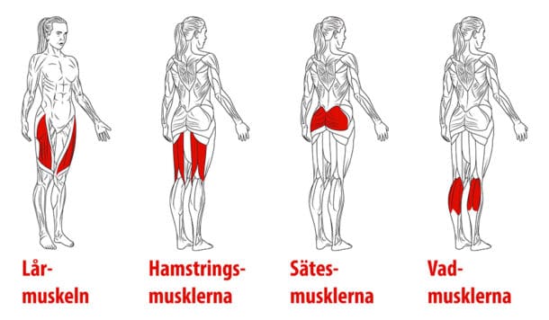 Träna ben hemma: 15 effektiva benövningar med & utan redskap - Fitnessfia
