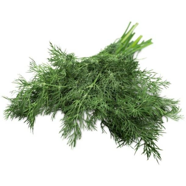 Grönsaker lista: 54 grönsaker med bild & info - Fitnessfia