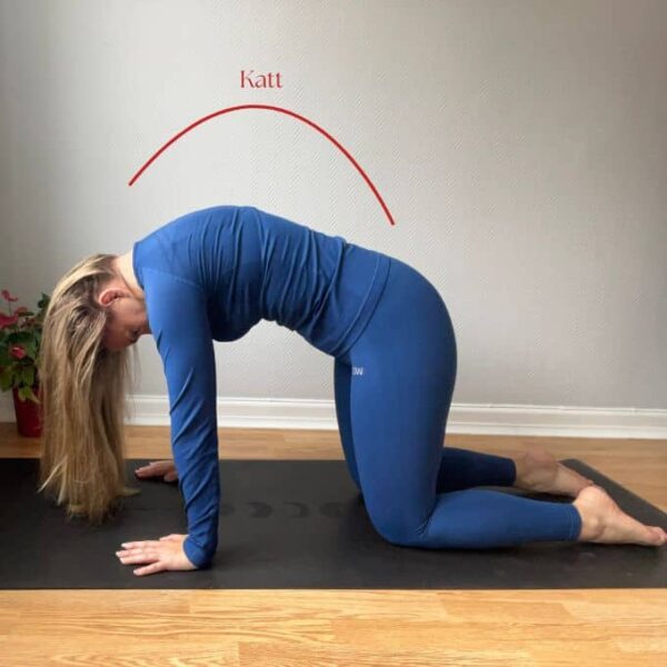 Träna bort kutrygg / puckelrygg: träningsprogram & tips - Fitnessfia